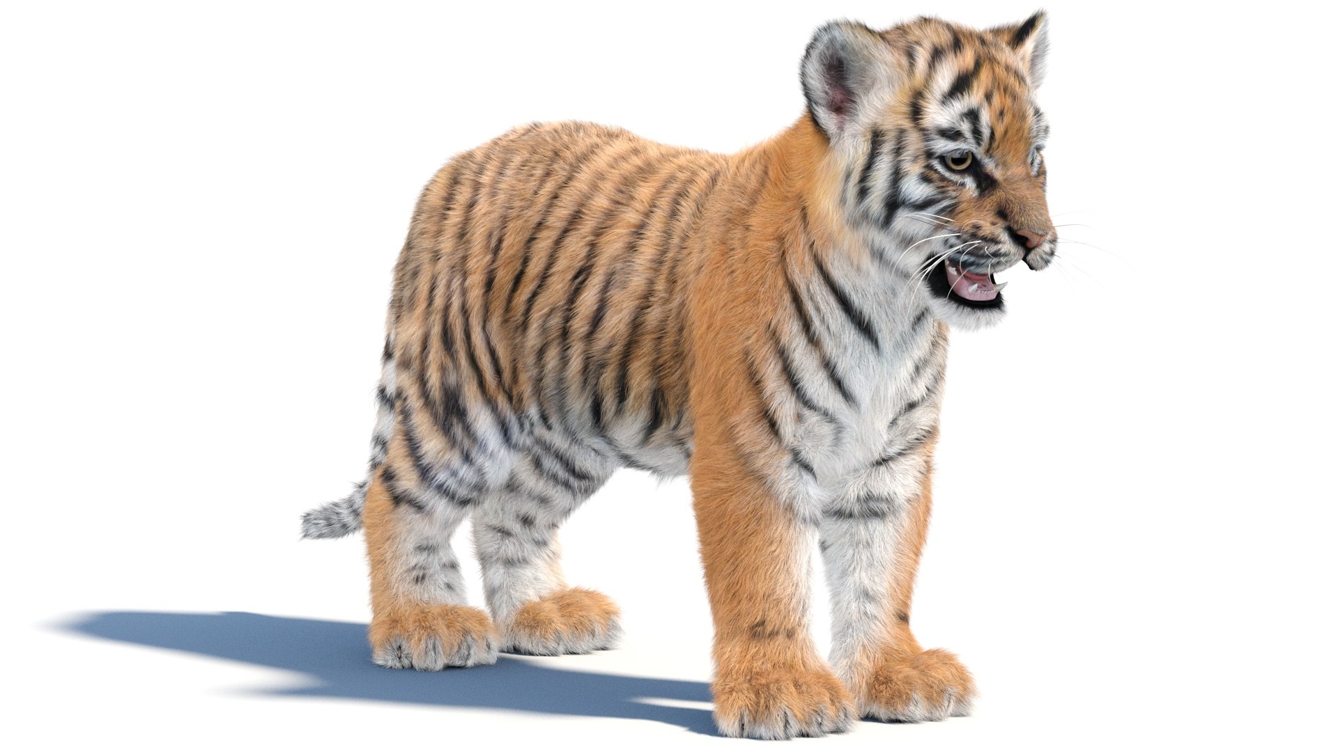 Tiger Cub 3D Model Fur 3D Model - TurboSquid 2341772