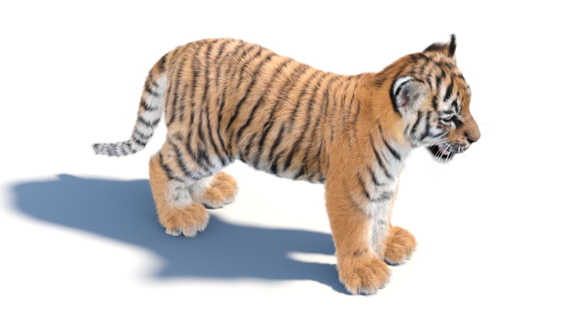 Tiger Cub 3D Model Fur 3D Model - TurboSquid 2341772