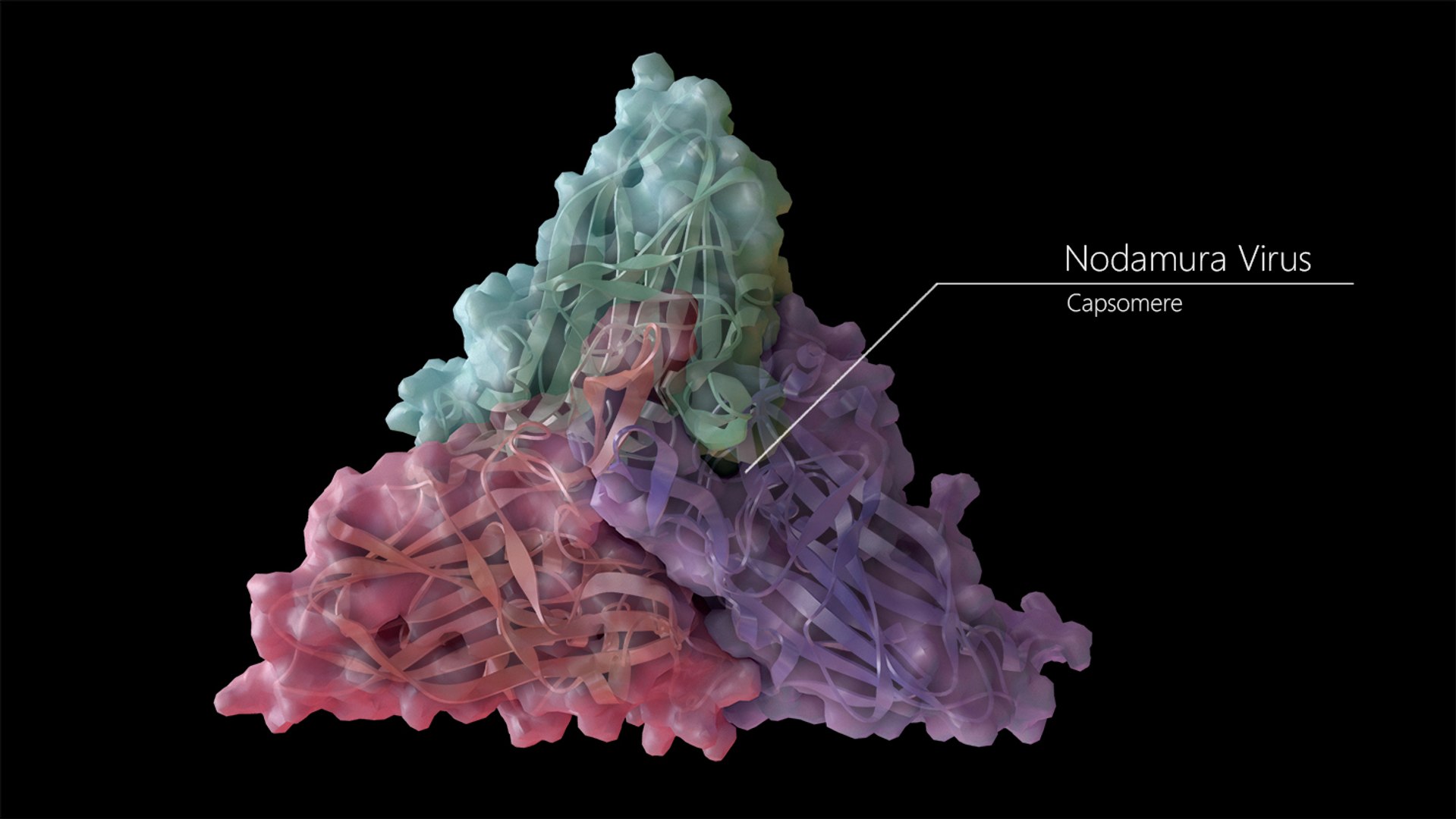 Nodamura Virus Nodaviridae Model - TurboSquid 1359770