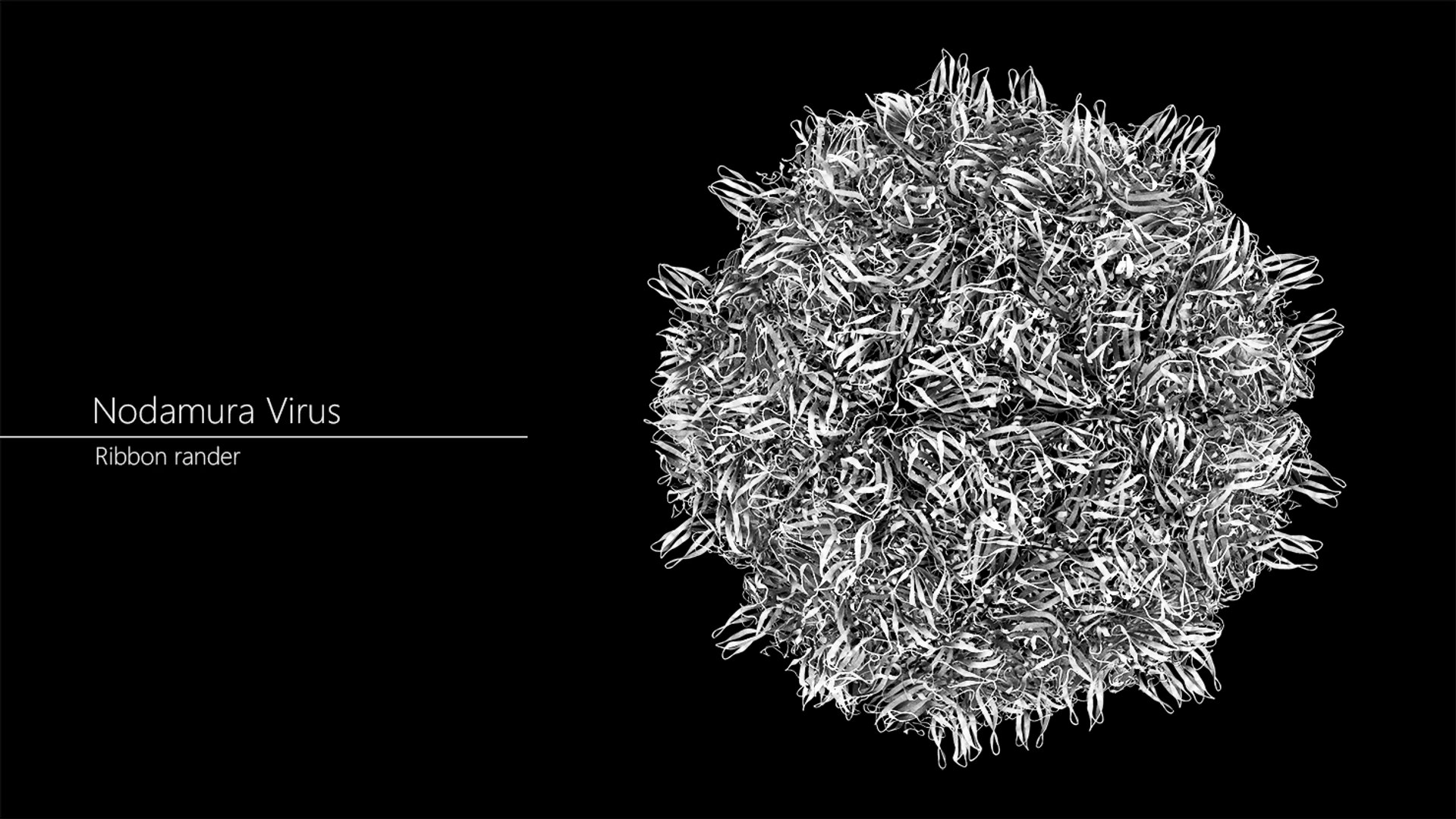 Nodamura Virus Nodaviridae Model - TurboSquid 1359770