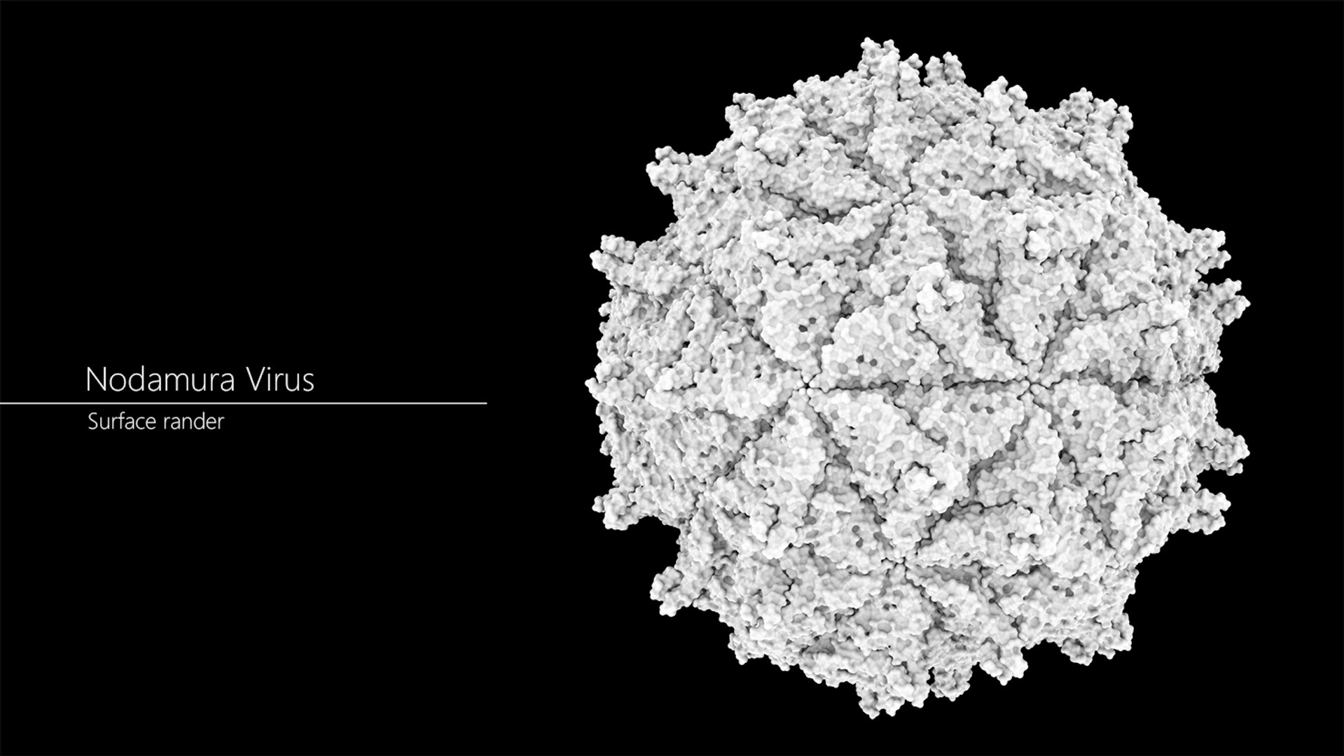 Nodamura Virus Nodaviridae Model - TurboSquid 1359770