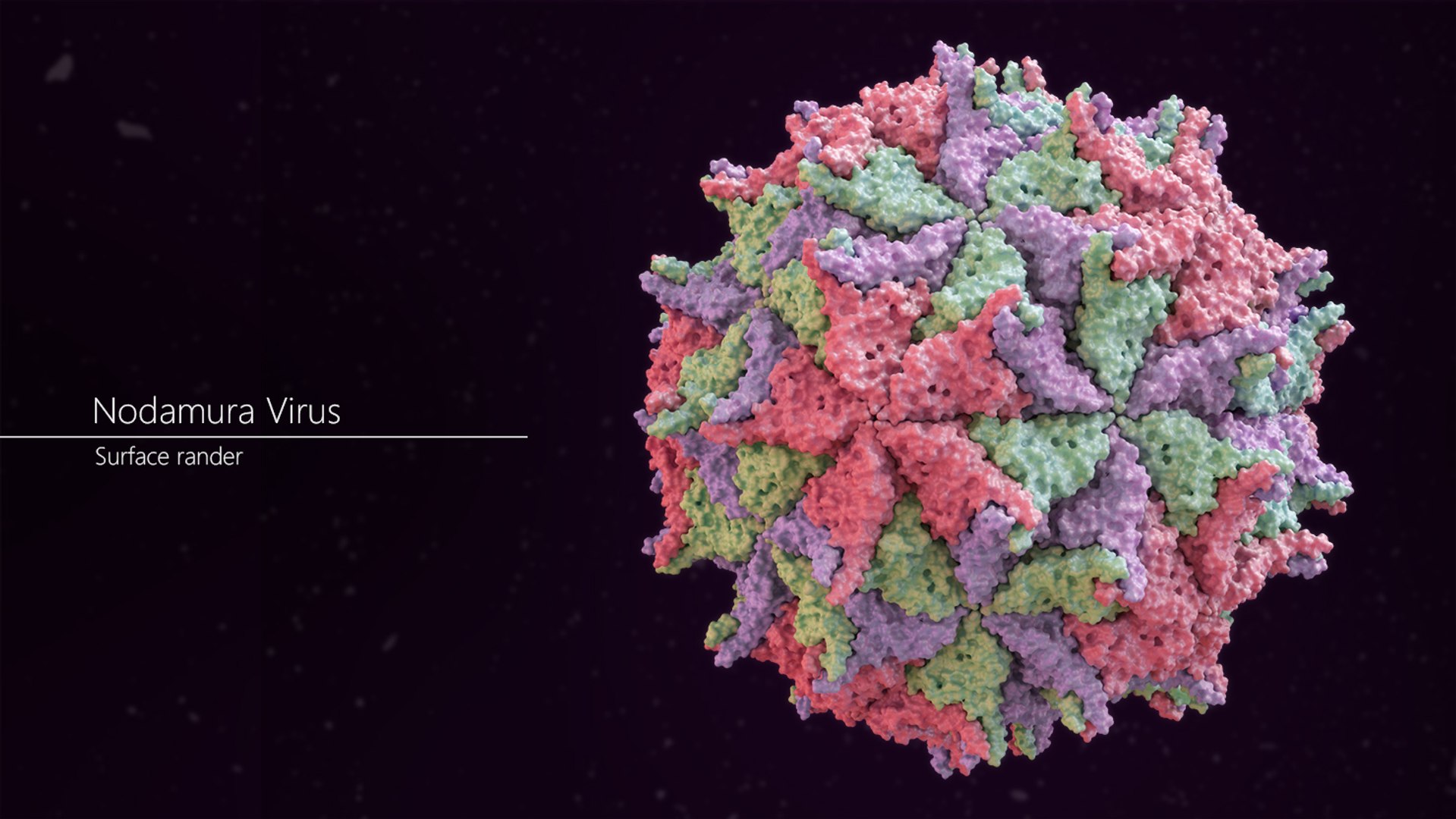 Nodamura Virus Nodaviridae Model - TurboSquid 1359770
