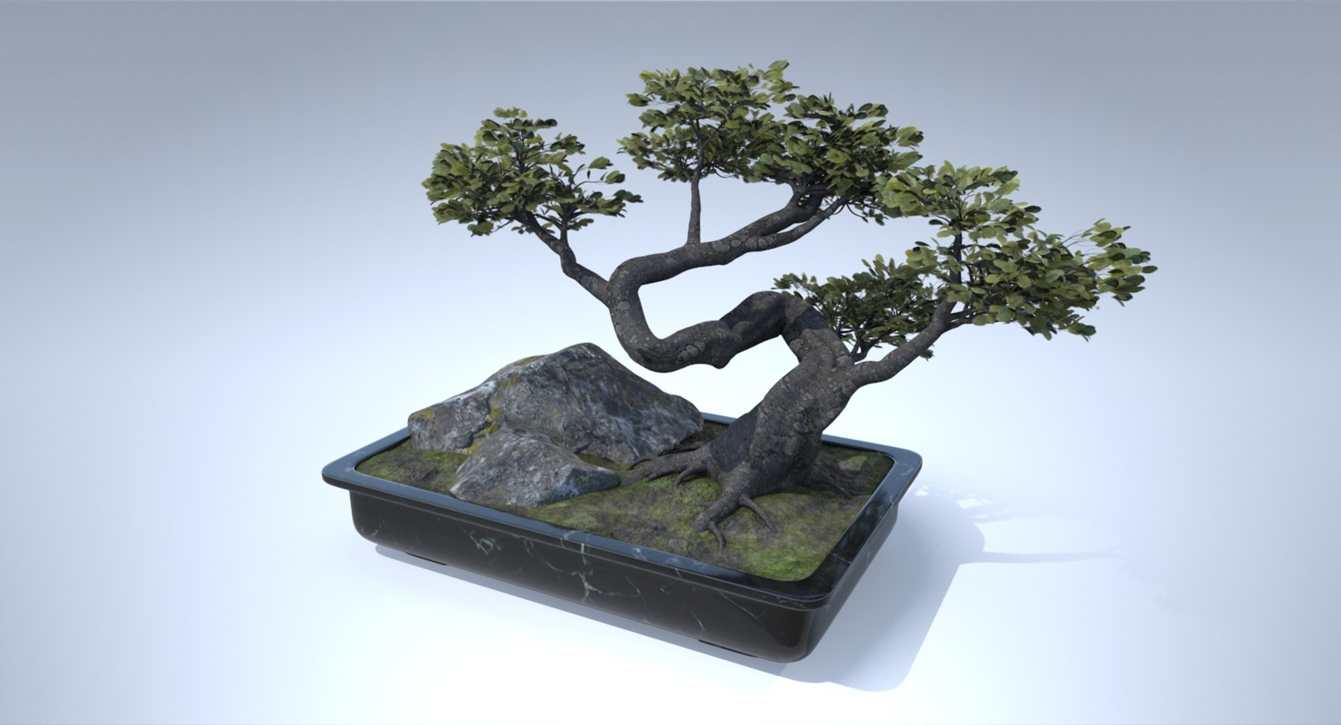 Japan bonsai 3D model - TurboSquid 1243514
