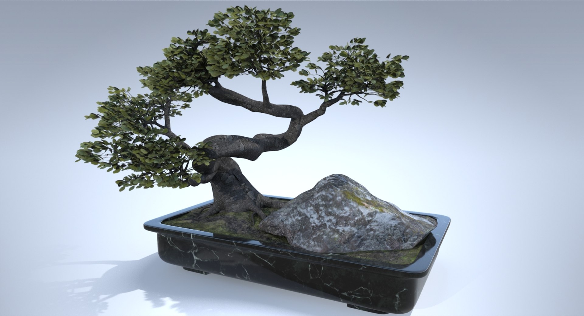 Japan bonsai 3D model - TurboSquid 1243514
