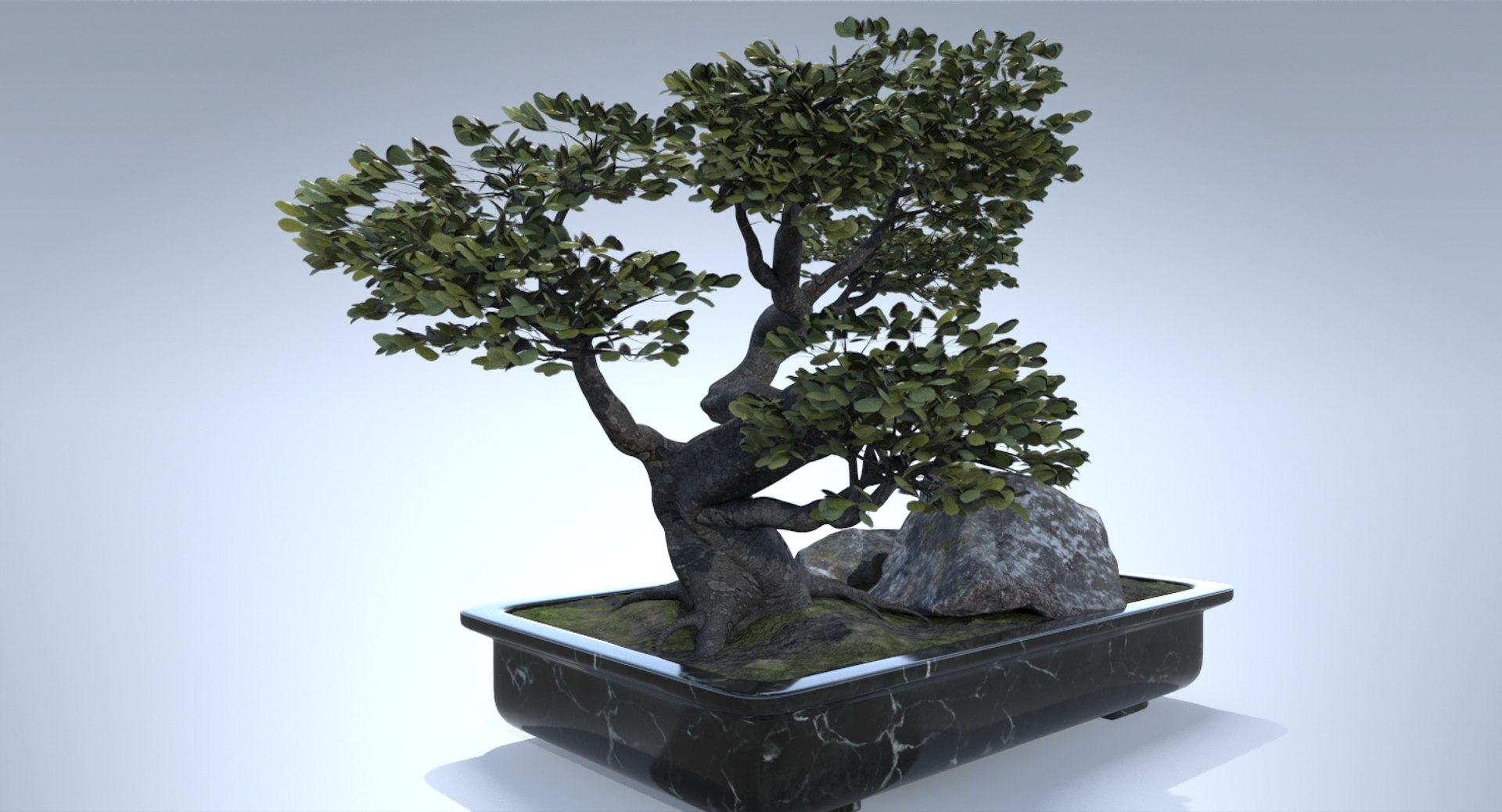 Japan bonsai 3D model - TurboSquid 1243514