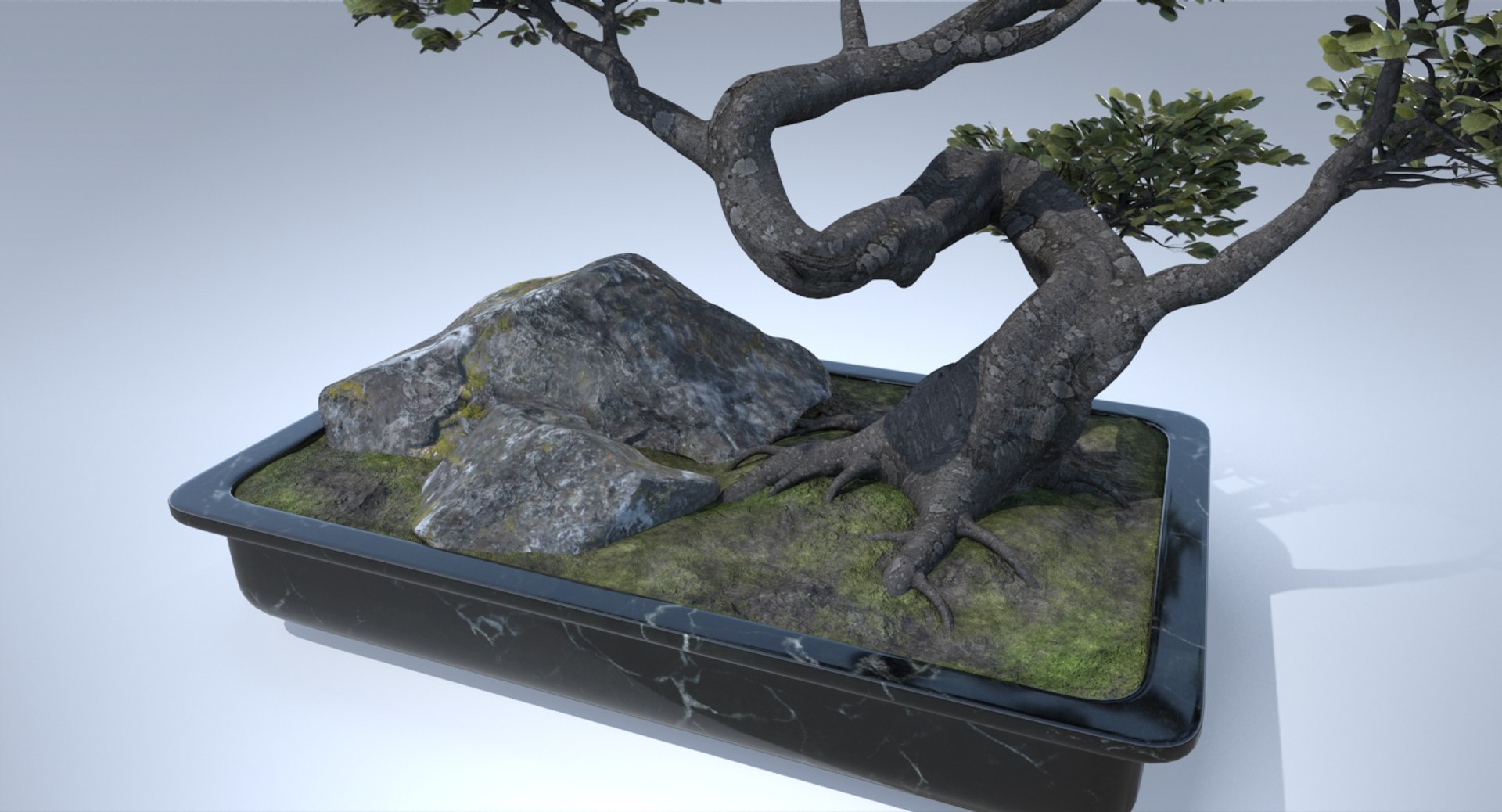 Japan bonsai 3D model - TurboSquid 1243514