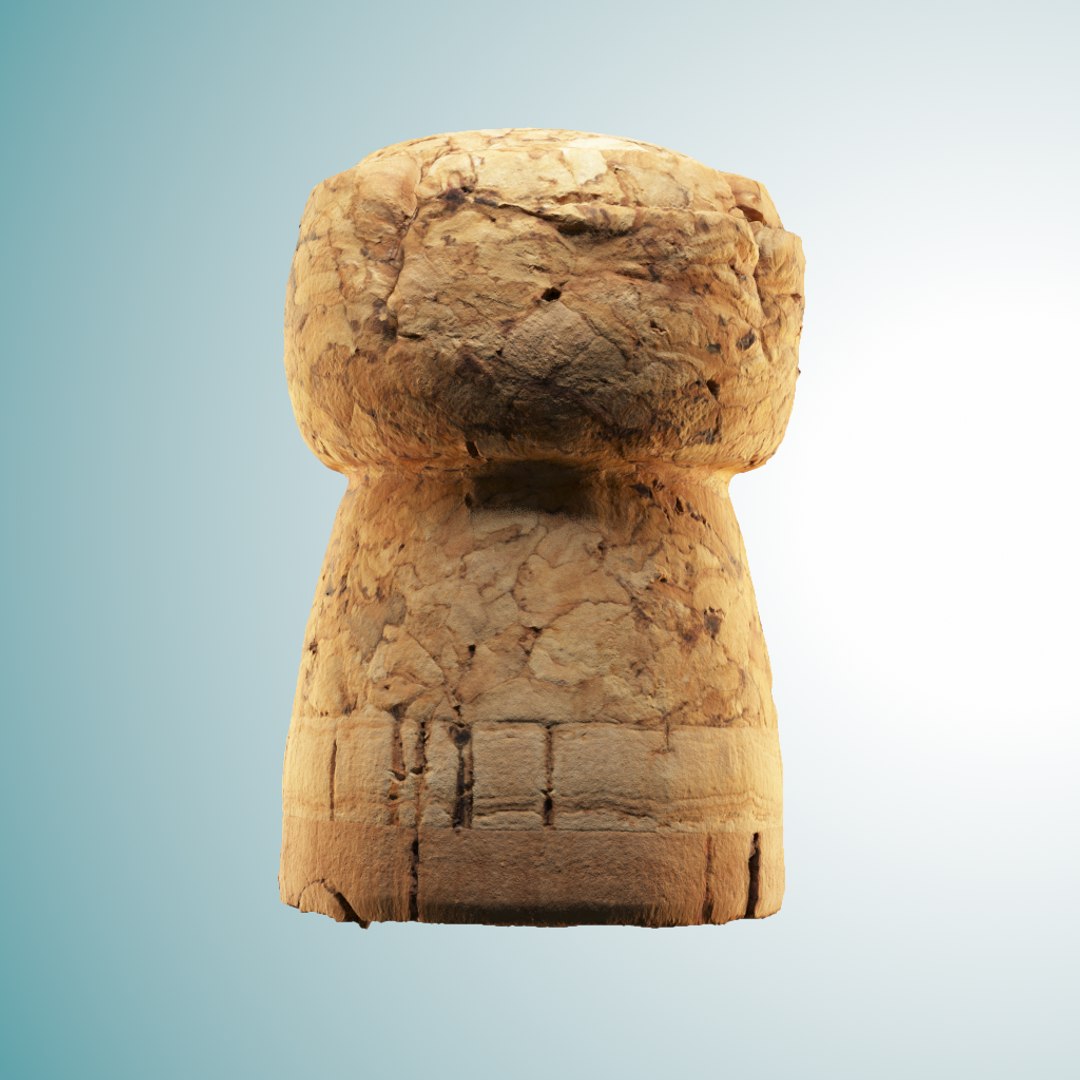 3D Champagne Cork Model - TurboSquid 1401291