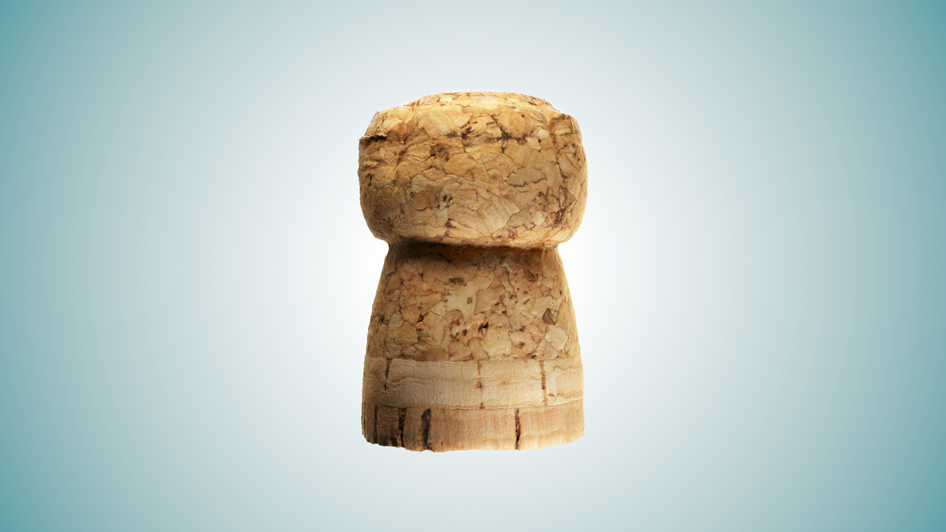 3D Champagne Cork Model - TurboSquid 1401291