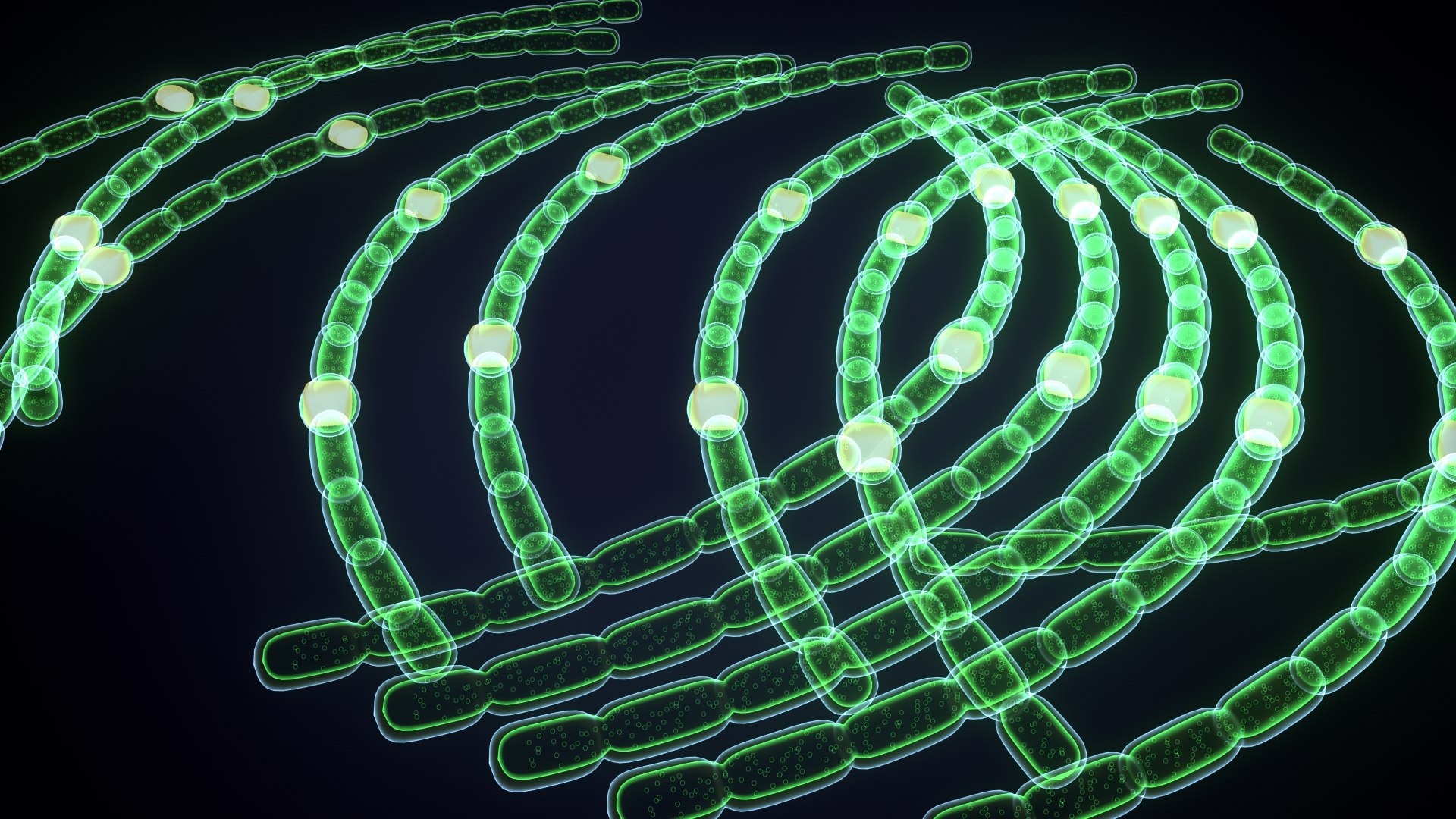 Filamentous 3D - TurboSquid 1820695