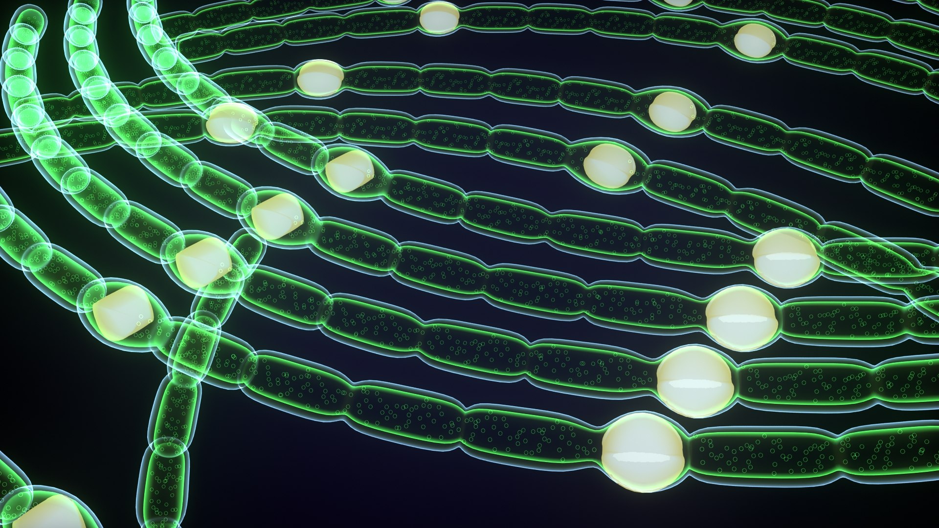 Filamentous 3D - TurboSquid 1820695