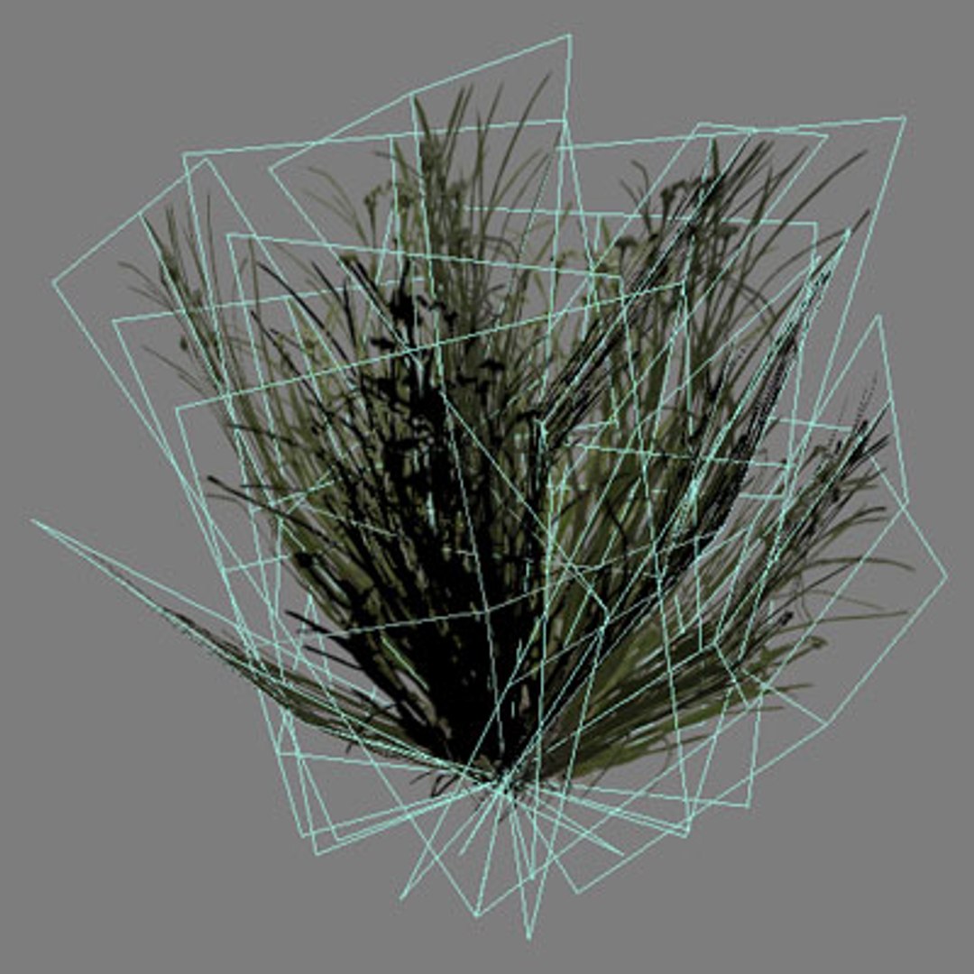 Bog Plants Max