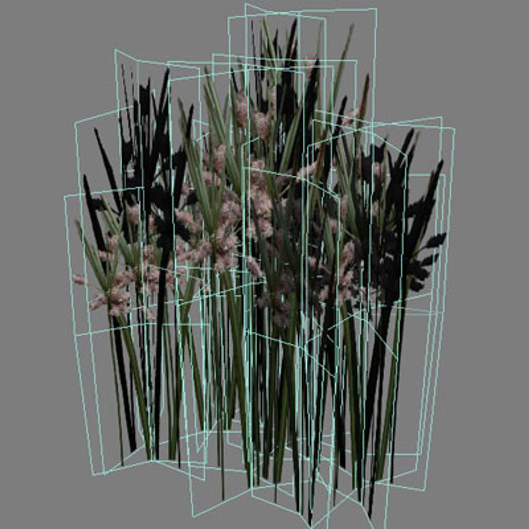 Bog Plants Max