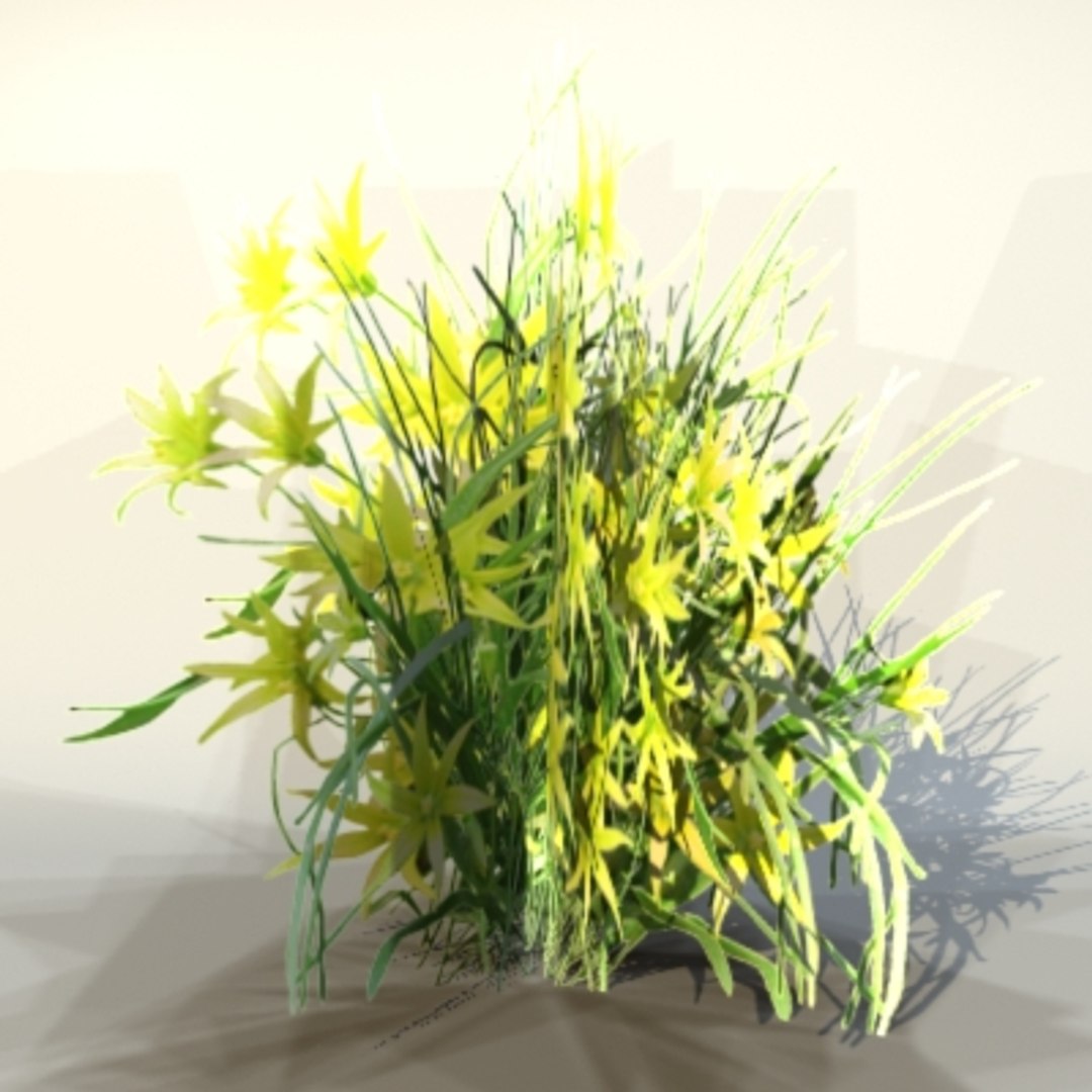 Bog Plants Max