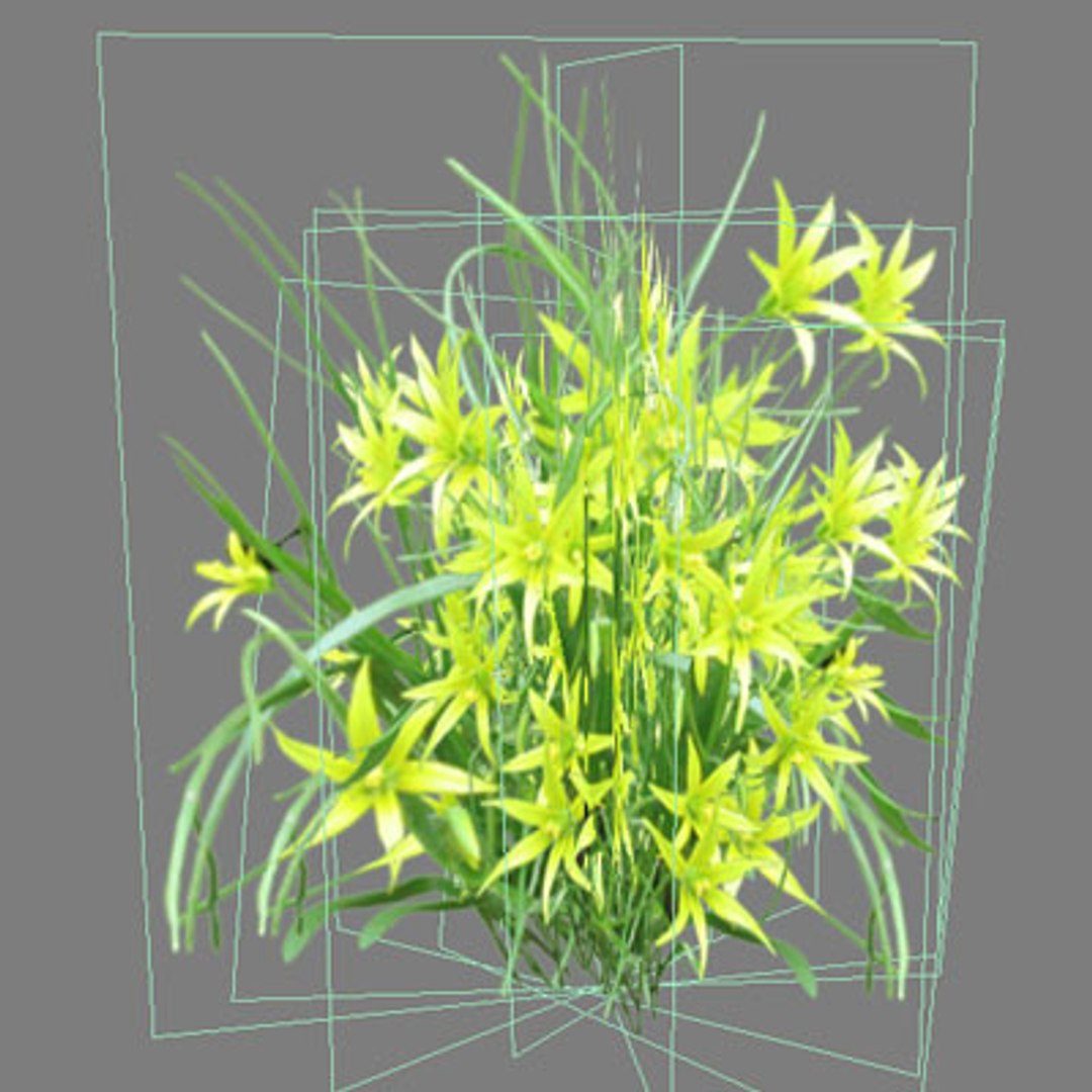 Bog Plants Max