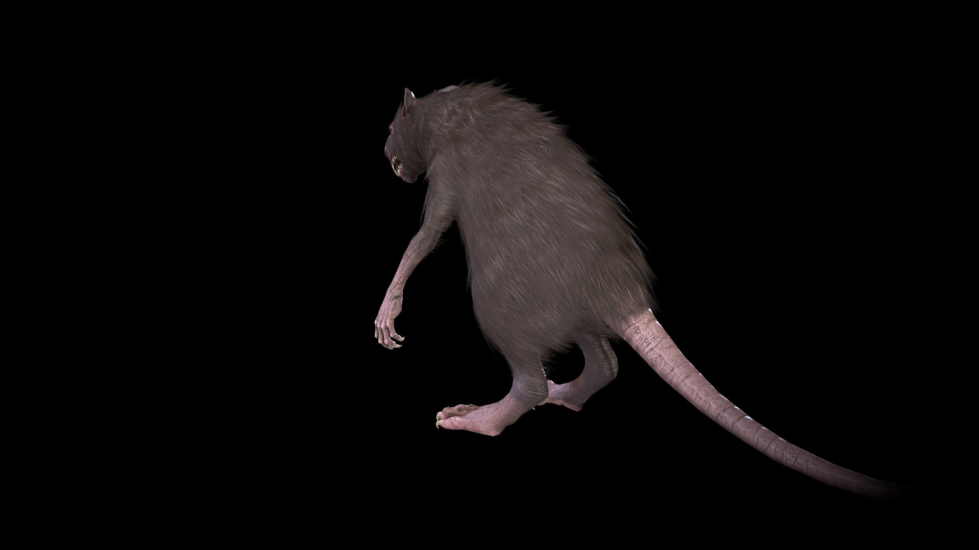WereRat 3D model - TurboSquid 1786070