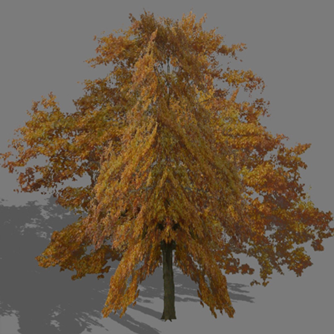 Tree Autumn 3d Model