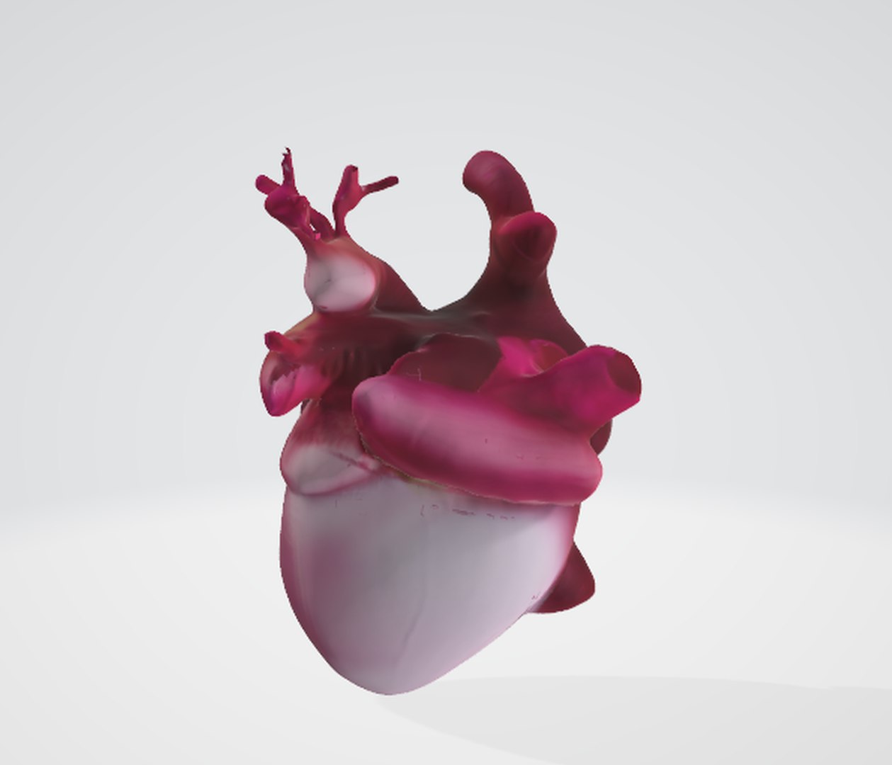 3D Detailed Heart 3D Model 3D Model - TurboSquid 2284912
