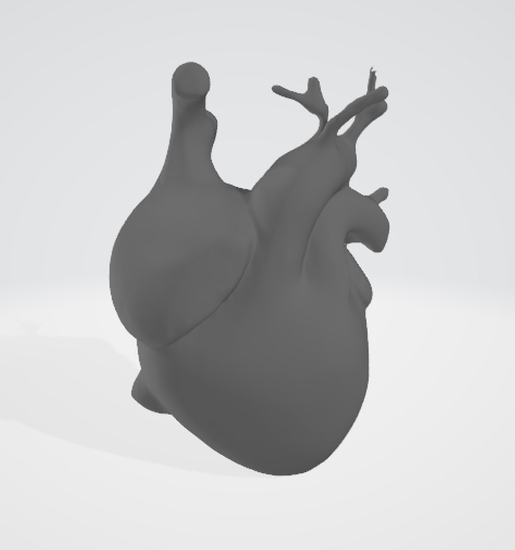 3D Detailed Heart 3D Model 3D Model - TurboSquid 2284912