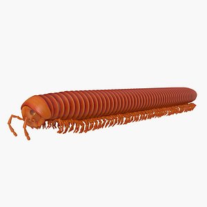 Millipede 3D Models for Download | TurboSquid