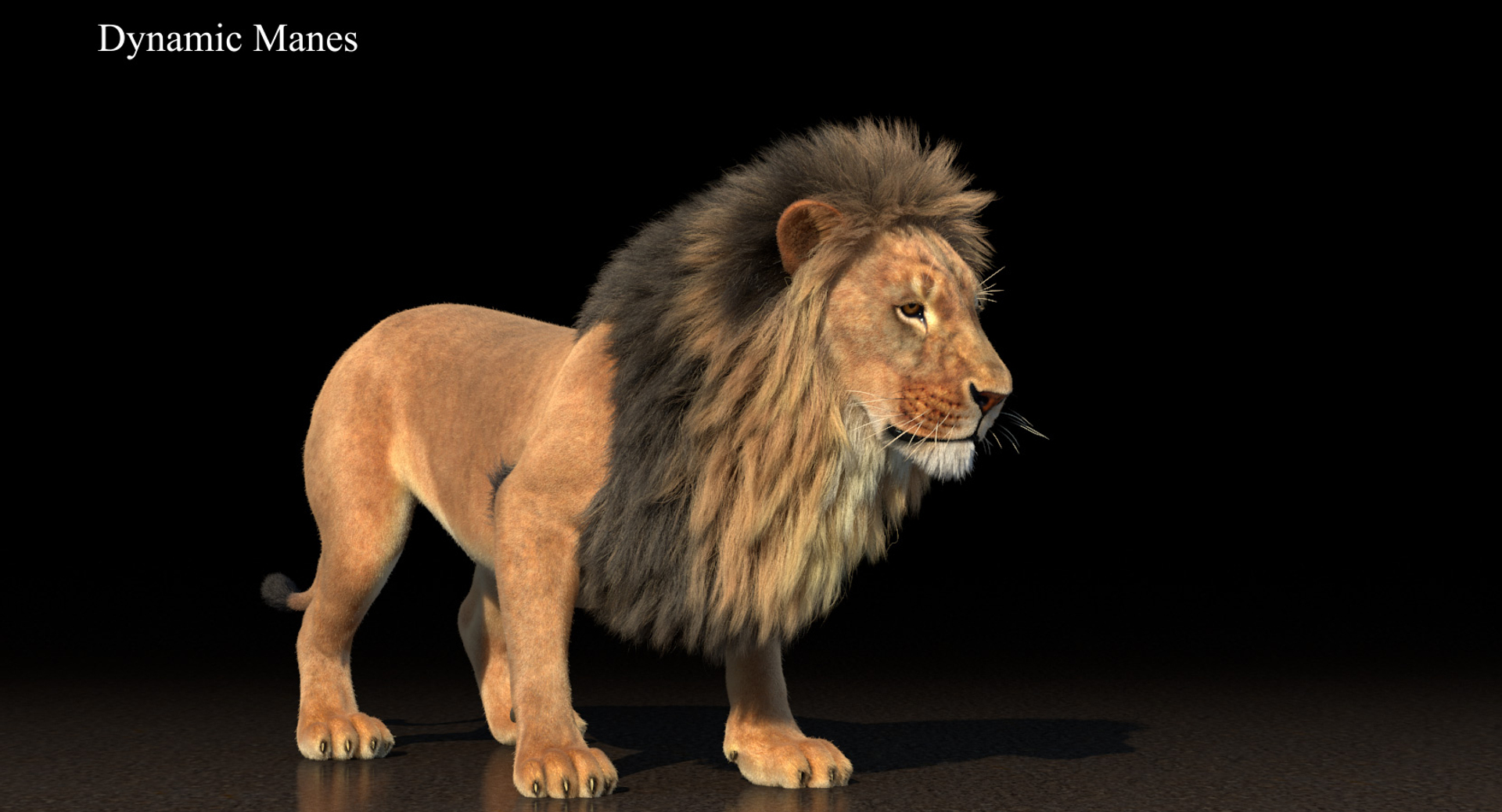 3D Lion Rigged - TurboSquid 1291185