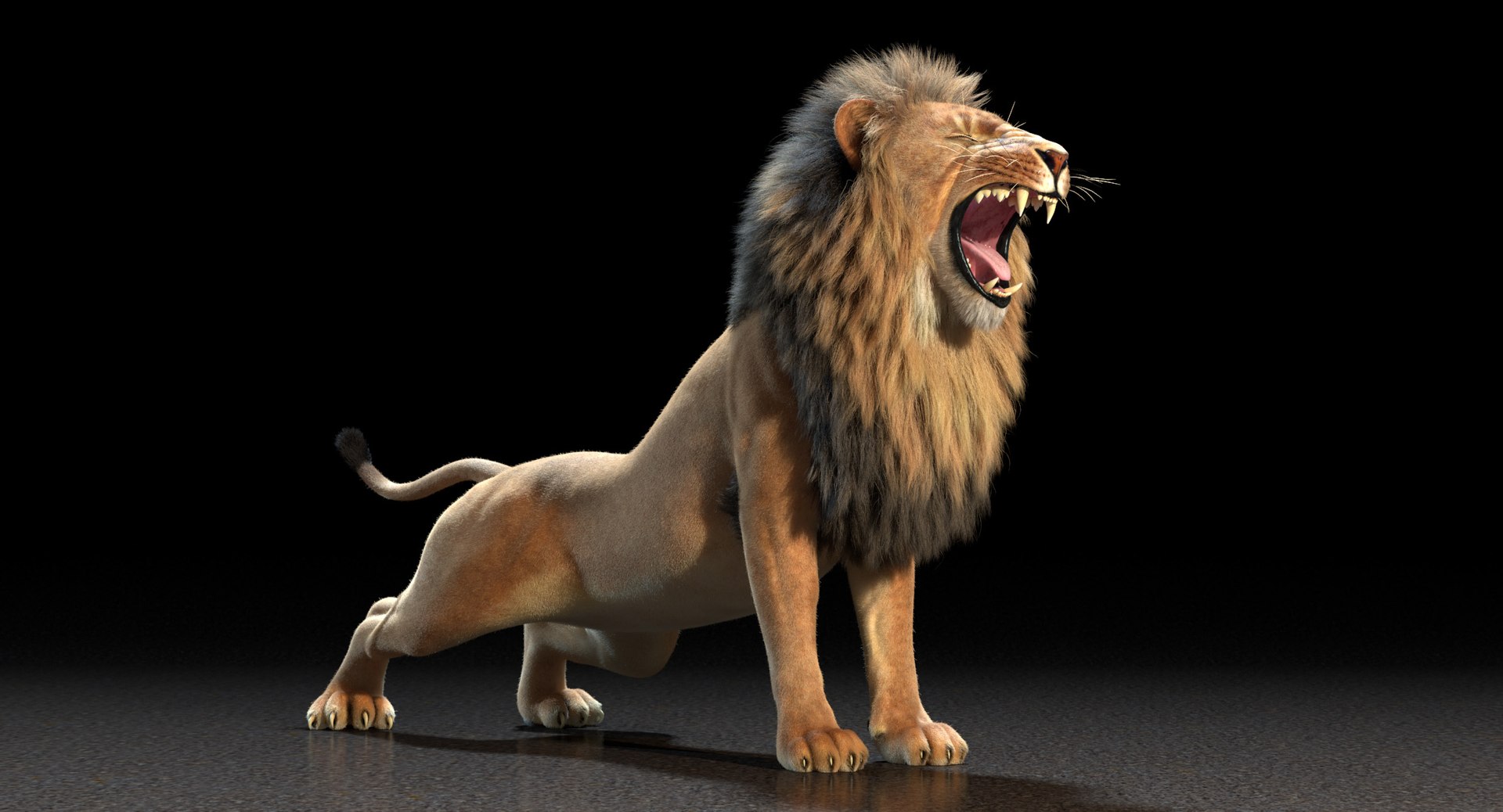 3D Lion Rigged - TurboSquid 1291185