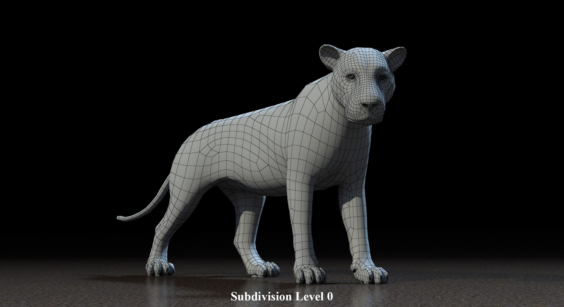 3D Lion Rigged - TurboSquid 1291185