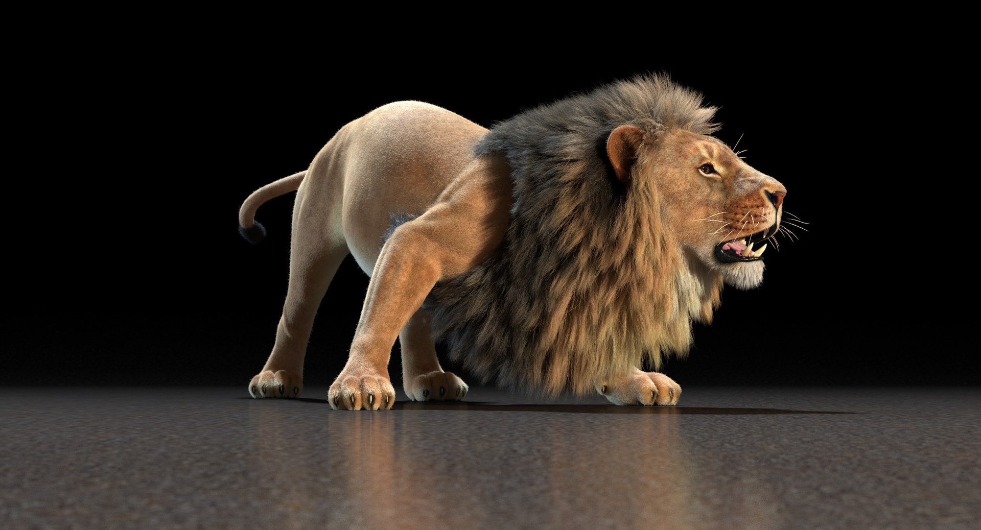 3D Lion Rigged - TurboSquid 1291185