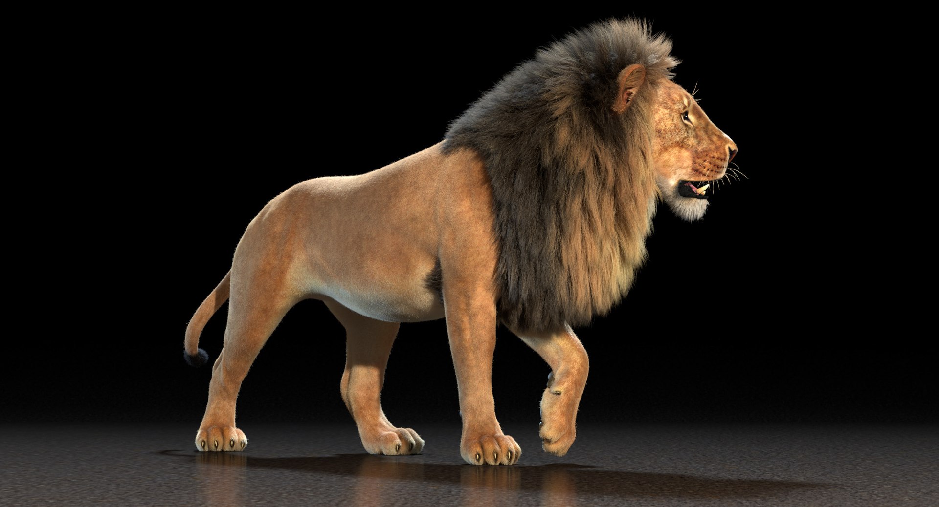 3D Lion Rigged - TurboSquid 1291185