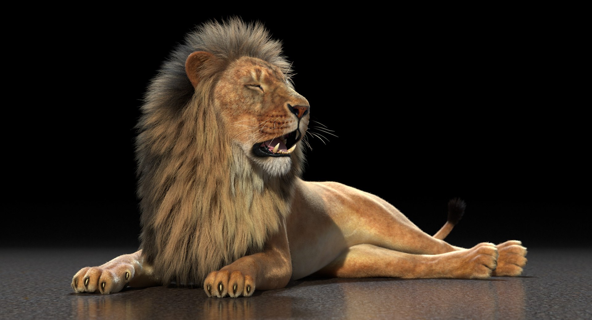 3D Lion Rigged - TurboSquid 1291185