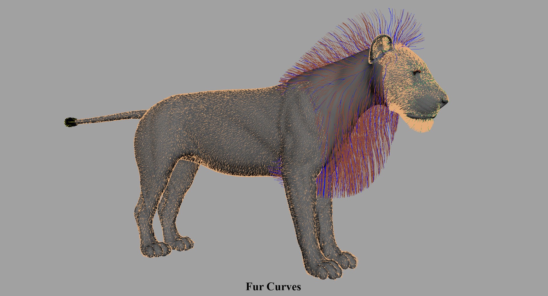 3D lion rigged - TurboSquid 1291185