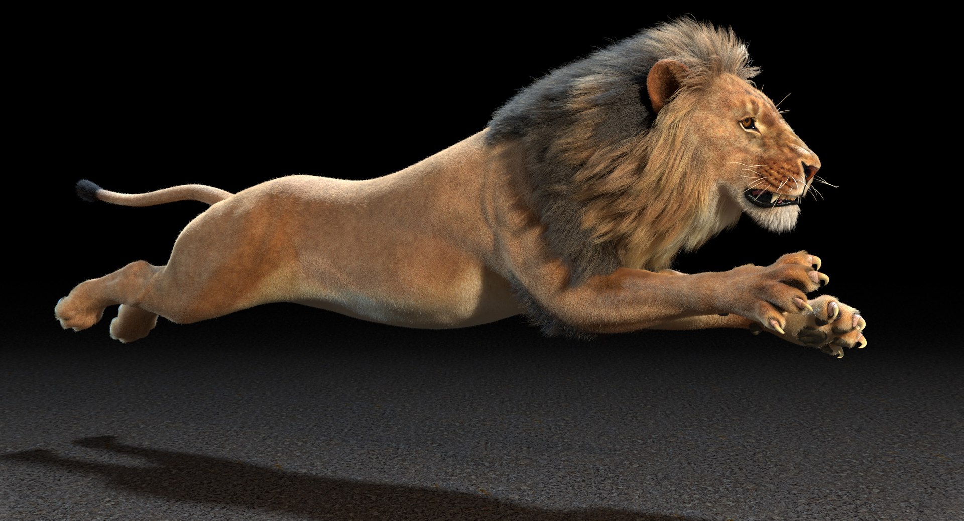 3D Lion Rigged - TurboSquid 1291185