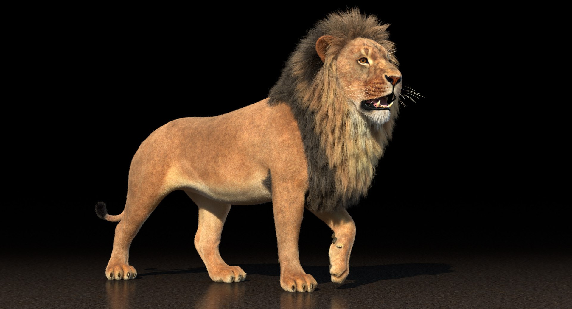 3D lion rigged - TurboSquid 1291185