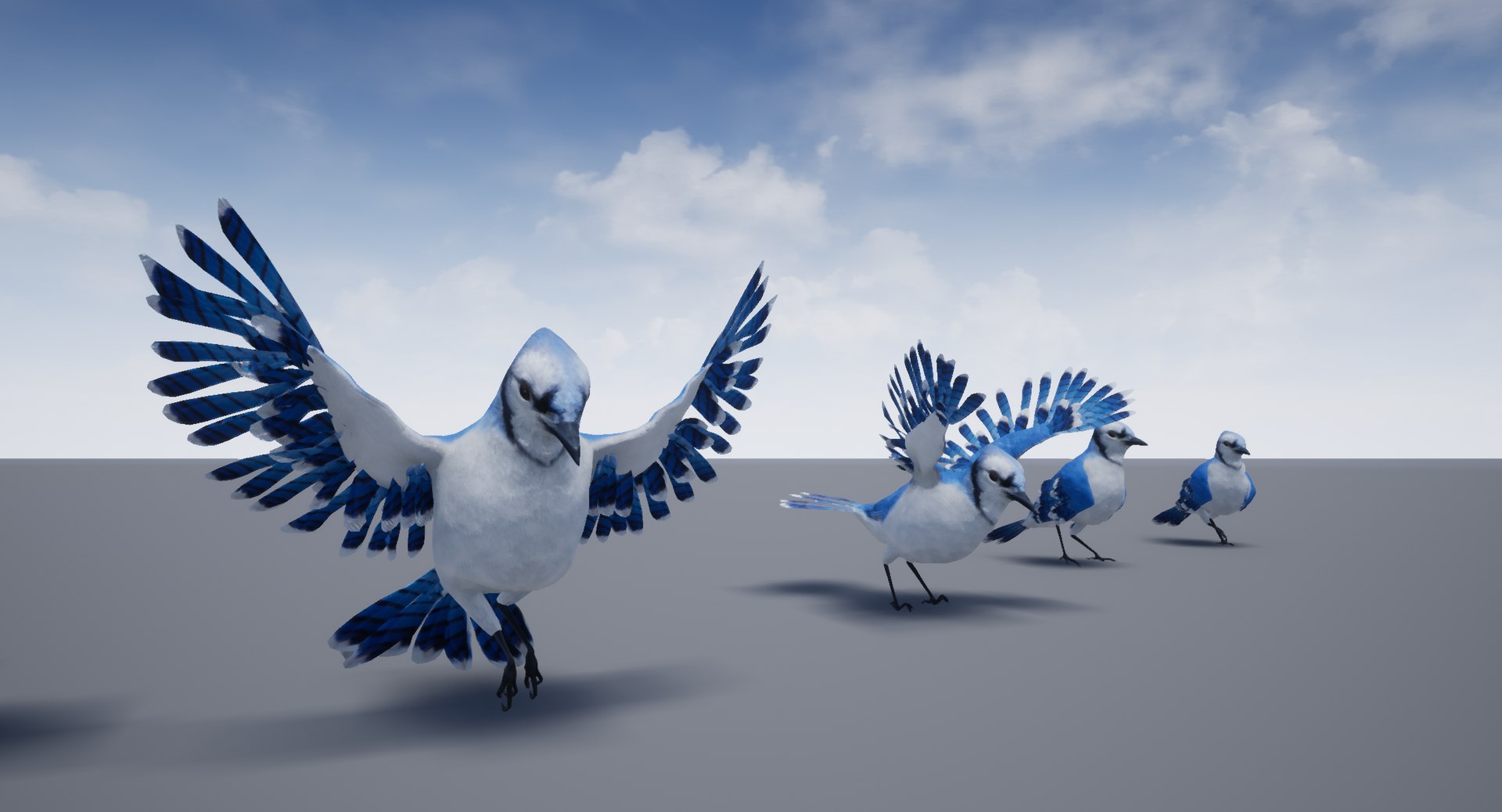 Blue jay animations 3D model - TurboSquid 1244048