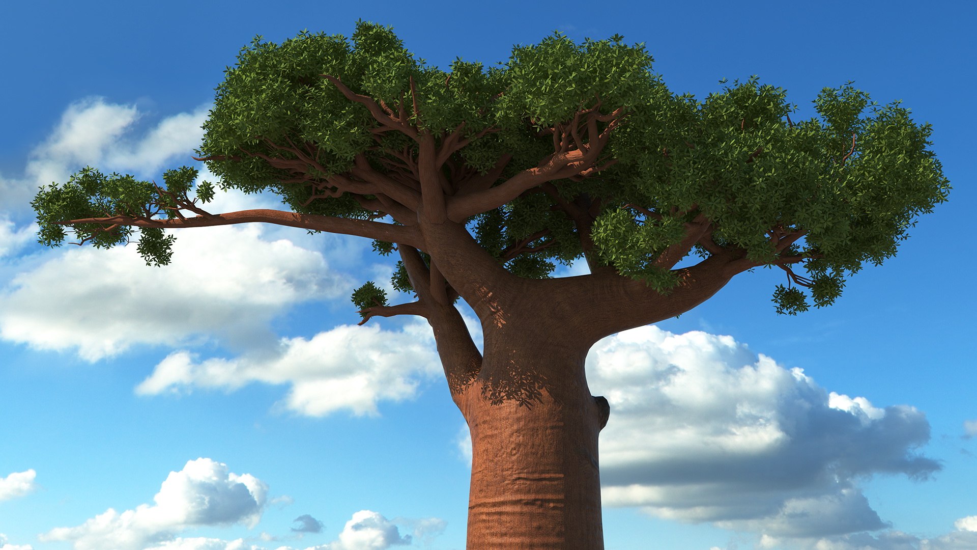 Baobab Tree Plant 3D - TurboSquid 1495558