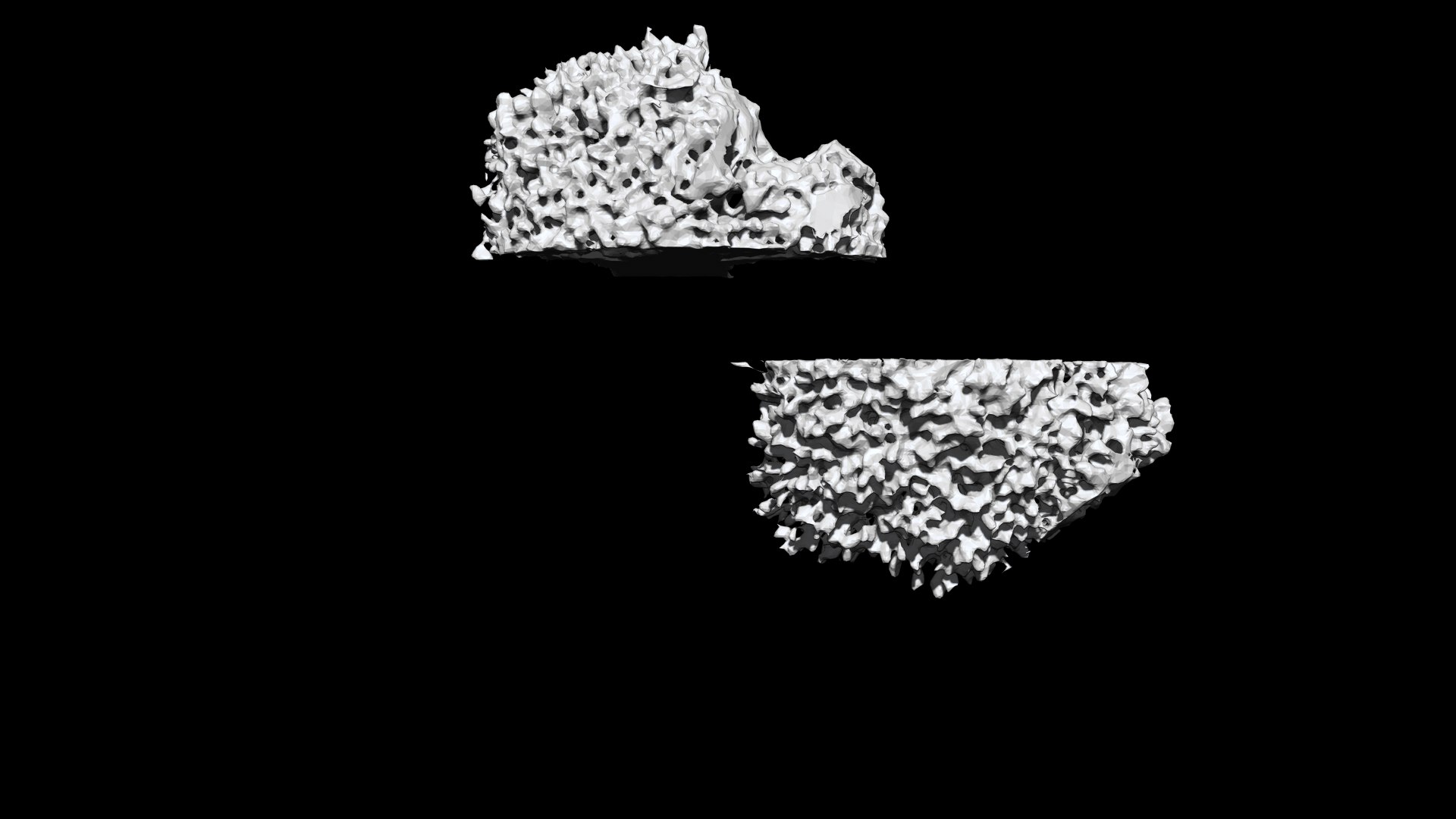 Broccoli Cut 3D CT Scan Model 7 Decimate 50percent 3D - TurboSquid 1886489
