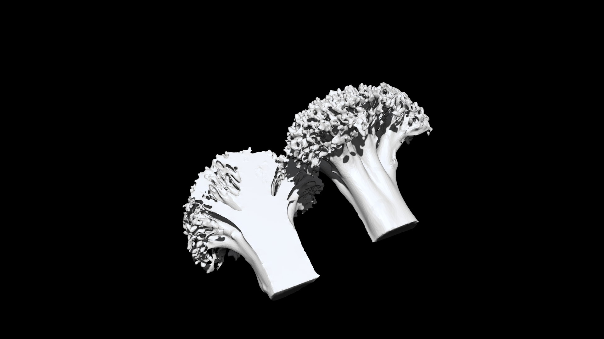 Broccoli Cut 3D CT Scan Model 7 Decimate 50percent 3D - TurboSquid 1886489
