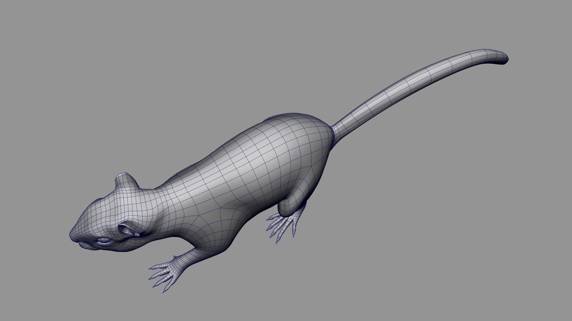 Squirrel RIG XGEN-CORE 3D Model - TurboSquid 2127607