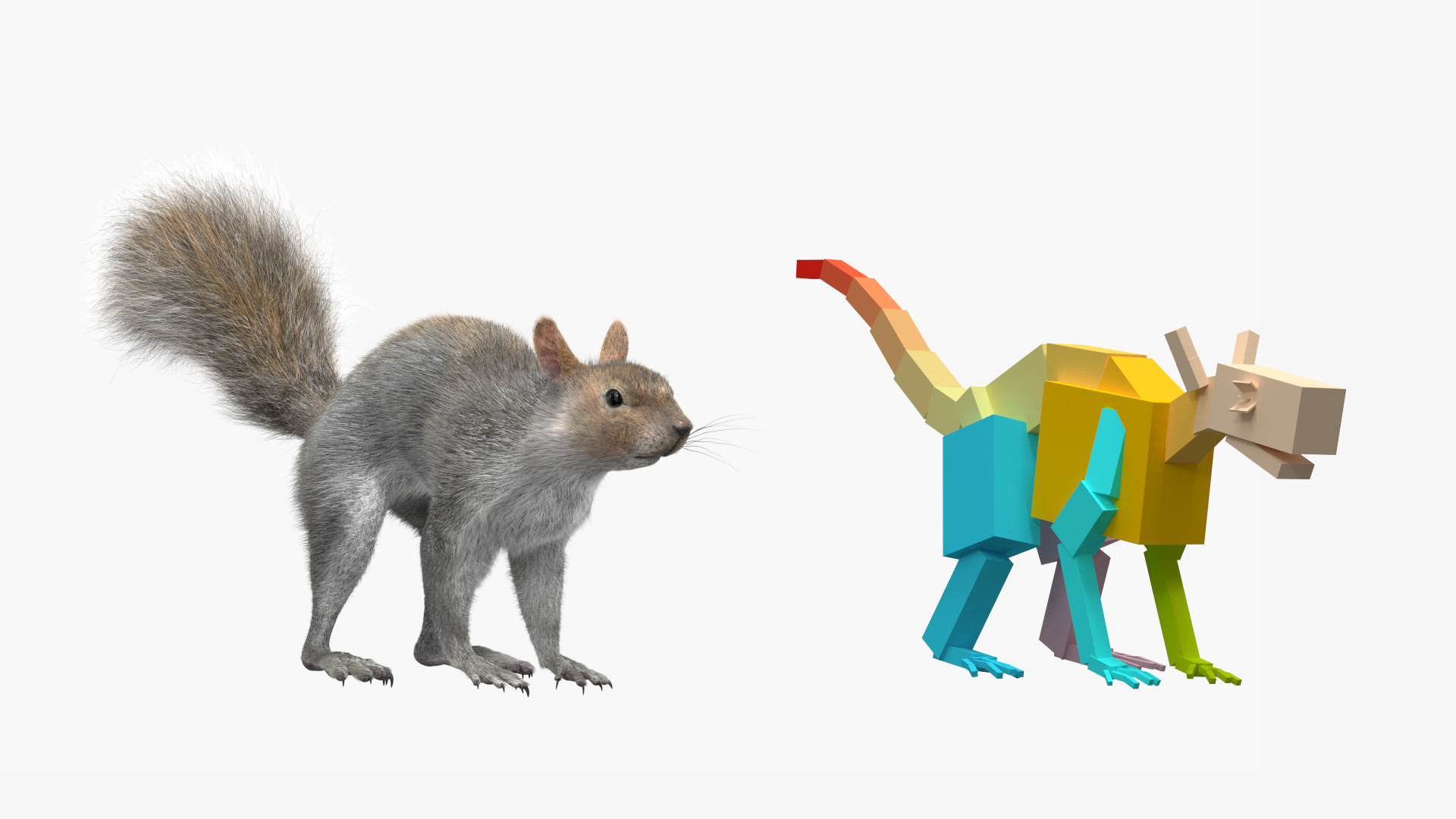 3D Model Gray Squirrel Fur Animated Rigged - TurboSquid 2342596