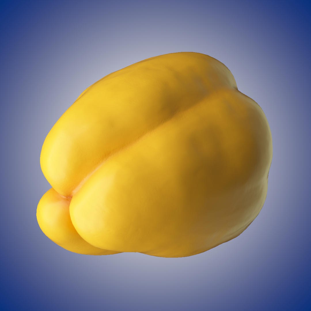 3D Pepper 1 Polly Model - TurboSquid 1391106