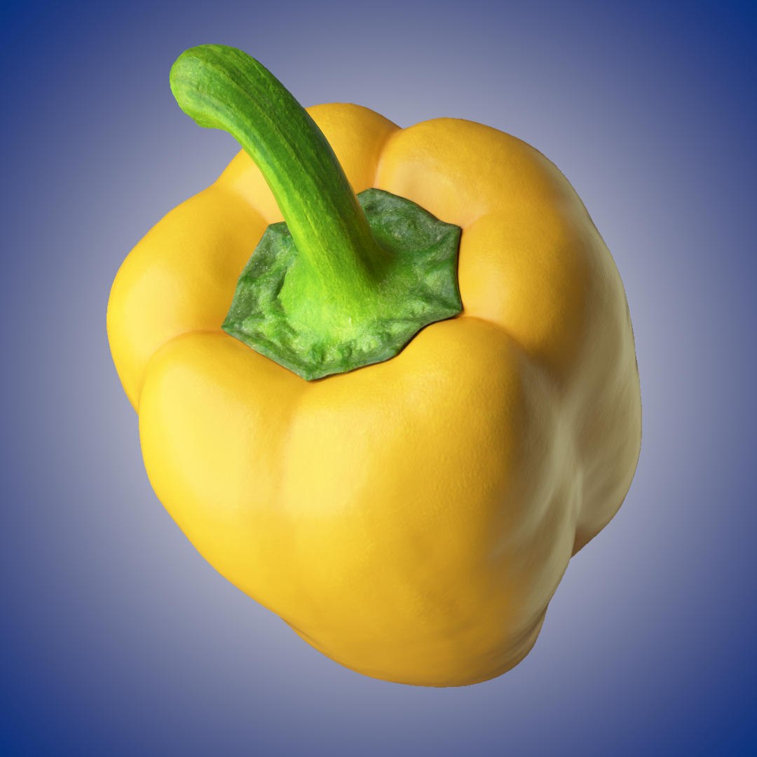 3D Pepper 1 Polly Model - TurboSquid 1391106