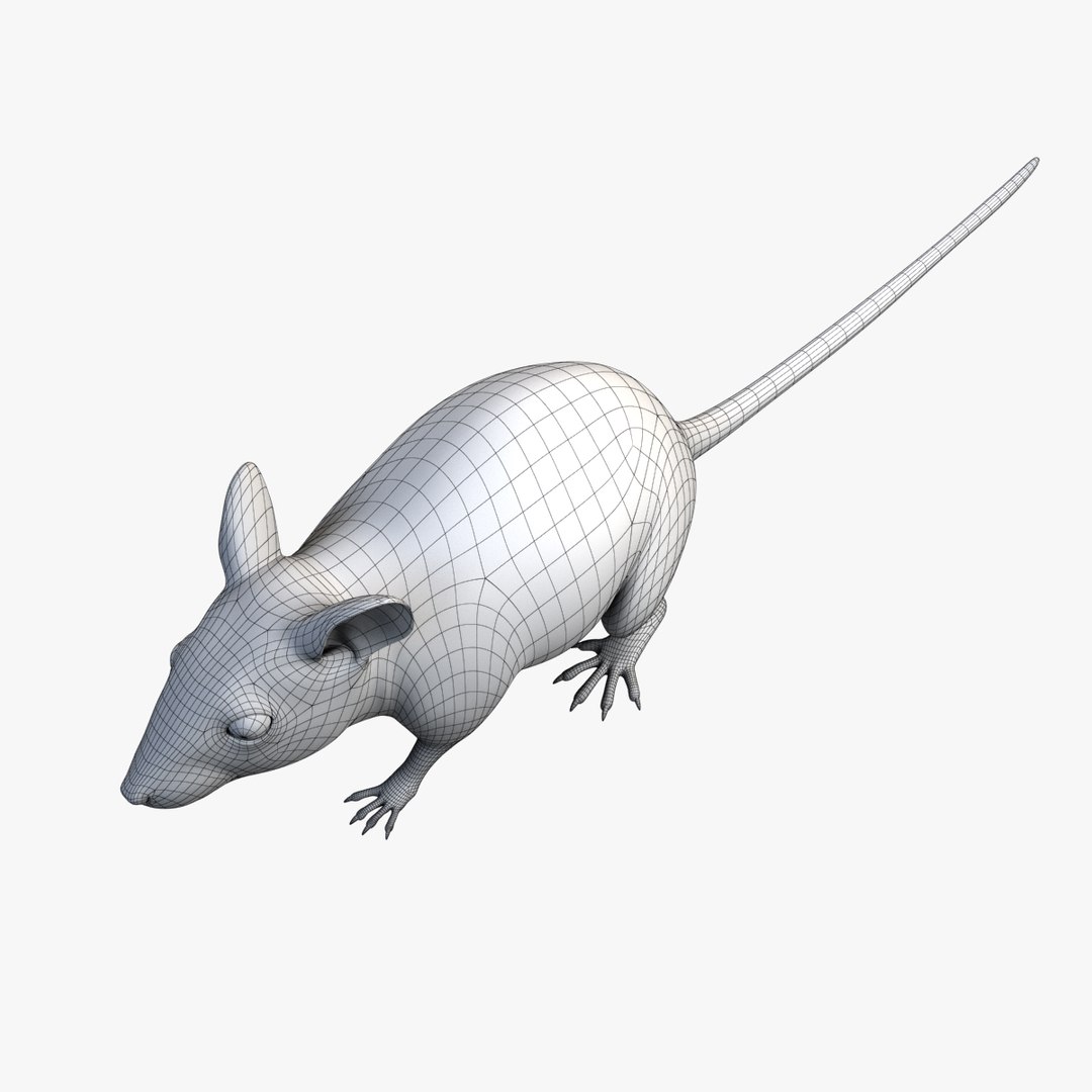 White House Mouse - 3d Obj