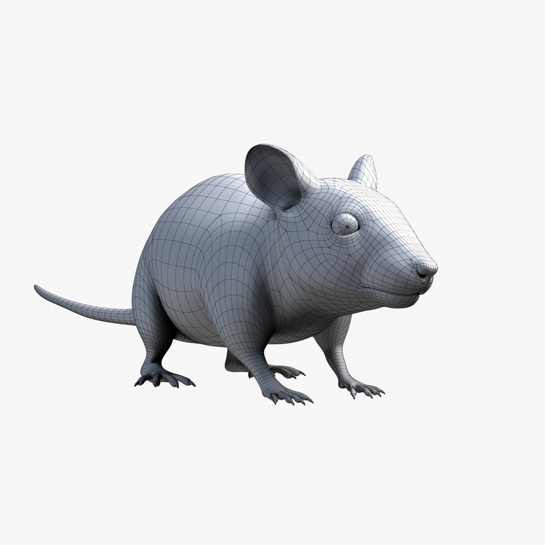 White House Mouse - 3d Obj