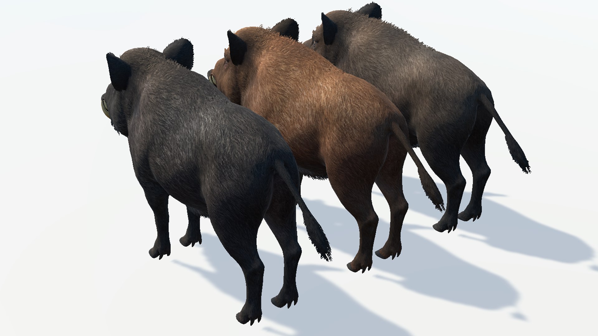 3D Wild Boar Family model - TurboSquid 2101342