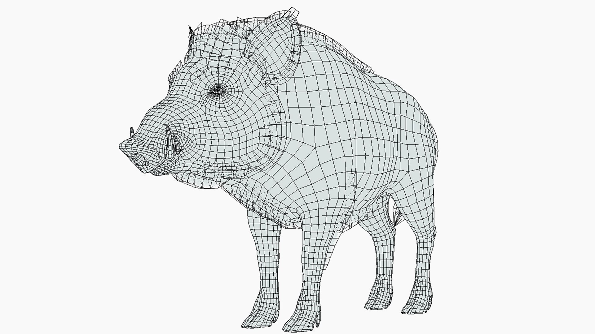 3D Wild Boar Family Model - TurboSquid 2101342