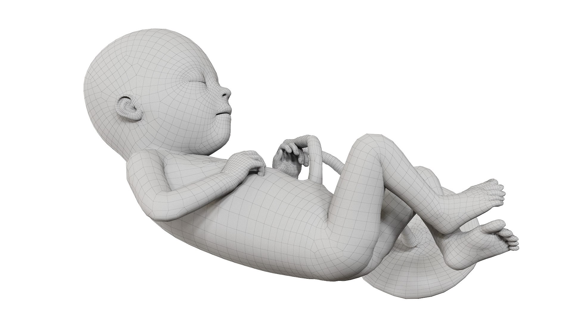 3D Model Fetus Week 21 Animated - TurboSquid 1856554