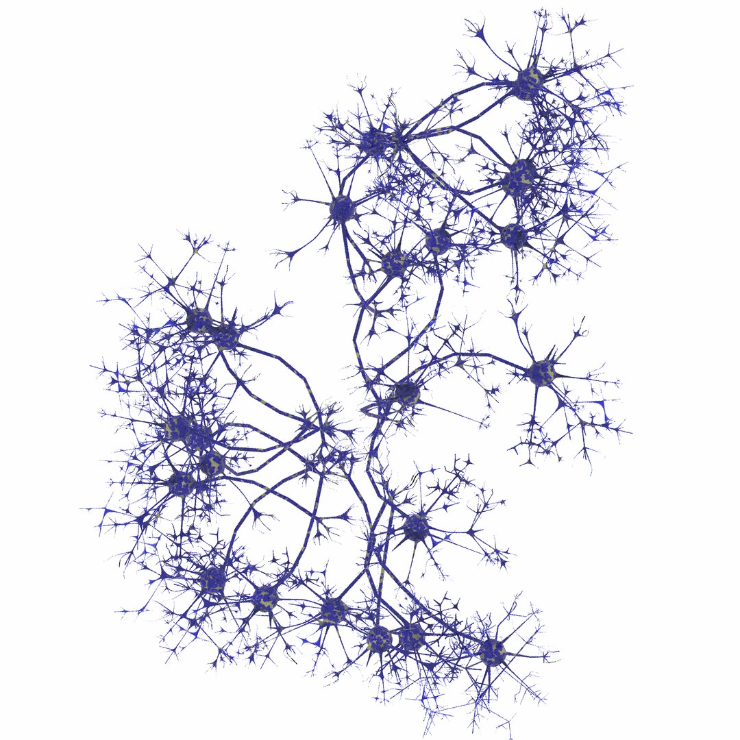3D Model Neural Network - TurboSquid 1241761