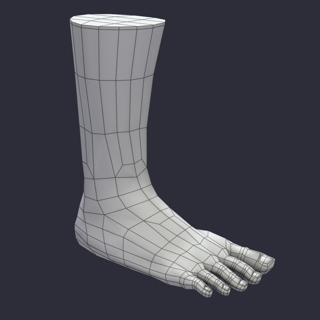 Male Foot 3d Obj