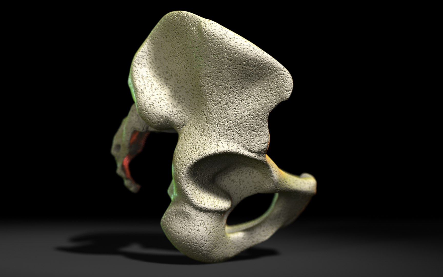 3D Pelvis Scanline - TurboSquid 1992678