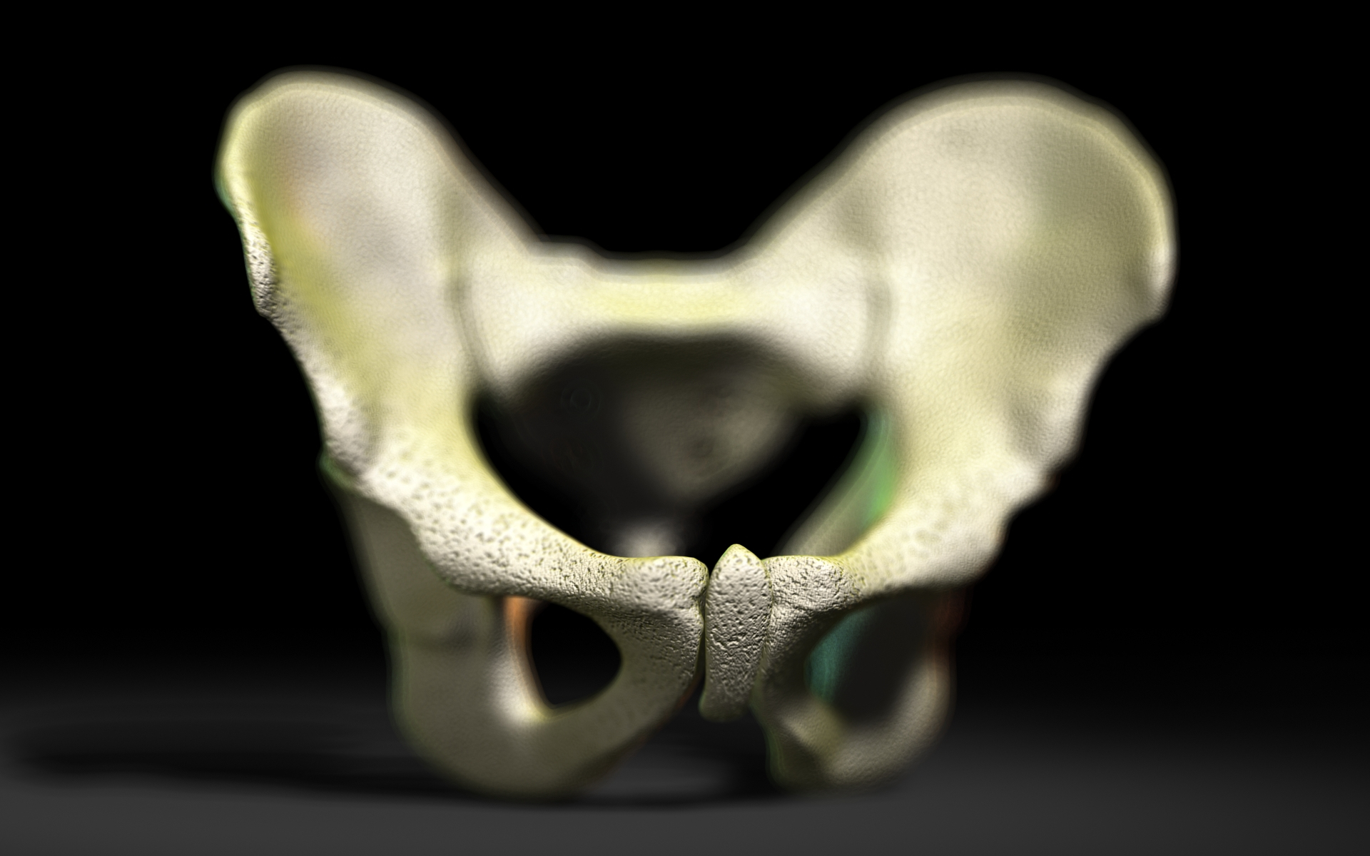 modelo 3d Pelvis Scanline - TurboSquid 1992678