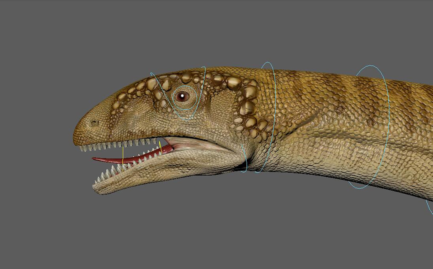 3D Efraasia Dinosaur Triassic Animal Model - TurboSquid 2329207